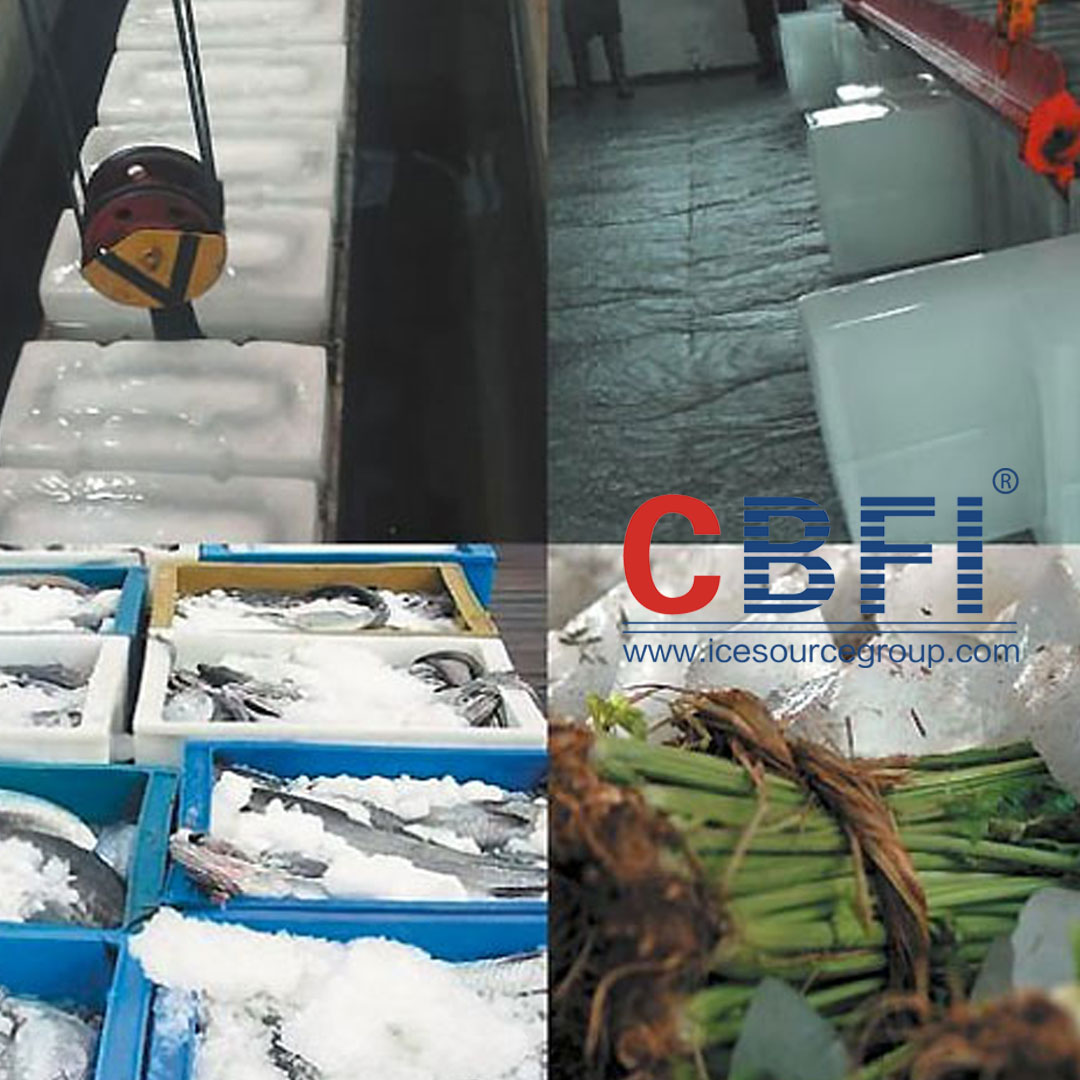 The Application Field Of Cbfi Direct-cooling Block Ice Machine